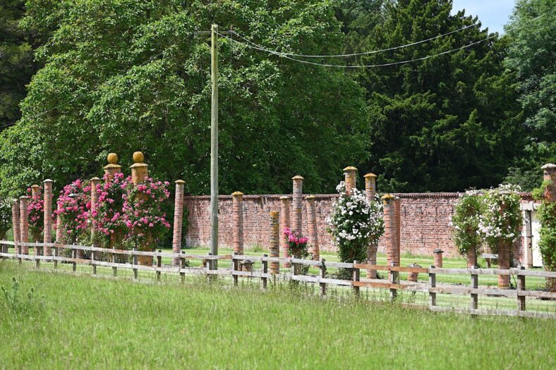 Aswarby, Aswarby Park, Rose Pergola - Society for Lincolnshire History ...