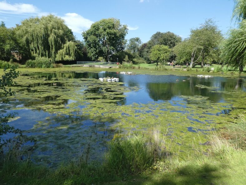 Bourne, Castle, St Peter's Pool - Society for Lincolnshire History ...