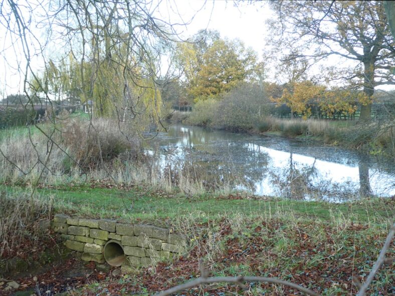 Cammeringham, Manor House, Fish Pond - Society for Lincolnshire History ...