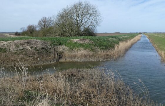 Heckington Archives - Society for Lincolnshire History & Archaeology