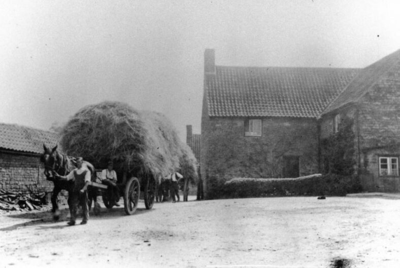 Heighington, Clarke's Charity Farm - Society for Lincolnshire History ...