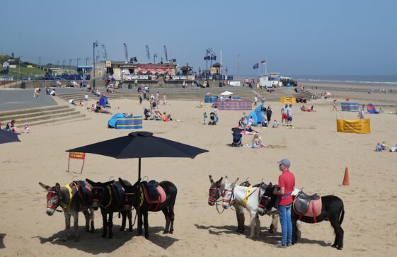 Mablethorpe Archives - Society for Lincolnshire History & Archaeology