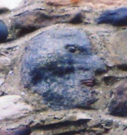 Old Clee, Holy Trinity, Man of Clee