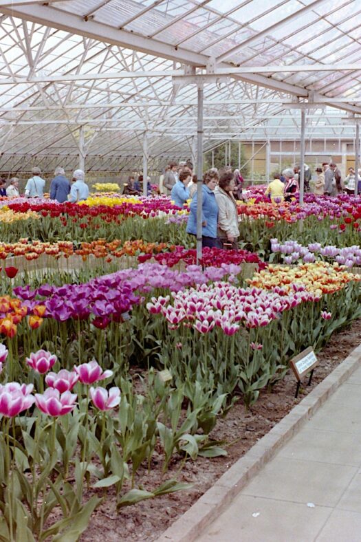 Spalding, Springfields Gardens - Society for Lincolnshire History ...