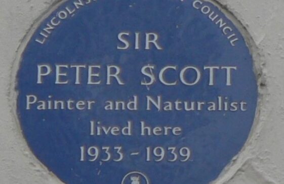 Location Sutton Bridge