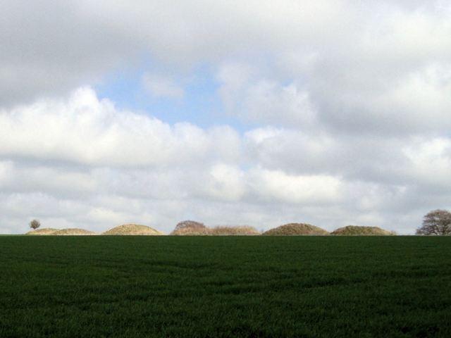 Tathwell, Bully Hills Barrow - Society for Lincolnshire History ...