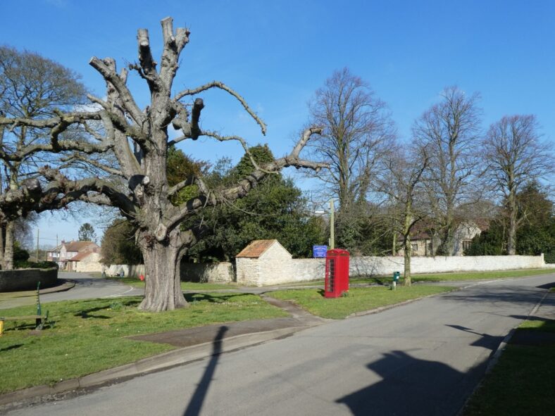 Welbourn, Village Green - Society for Lincolnshire History & Archaeology