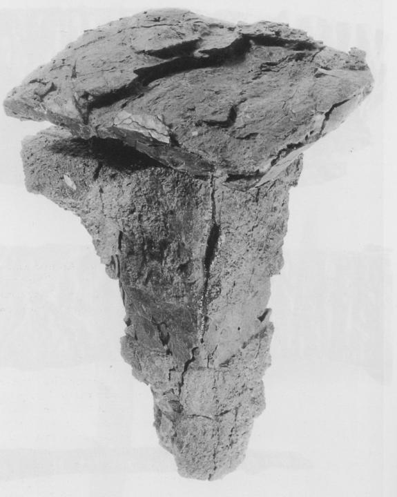 Tattershall Thorpe, Anglo Saxon anvil - Society for Lincolnshire ...